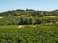 Village de Villedieu - Villedieu - Patrimoines culturels - Provence Guide