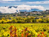 Village de Villedieu - Villedieu - Patrimoines culturels - Provence Guide