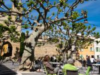 Village de Villedieu - Villedieu - Patrimoines culturels - Provence Guide