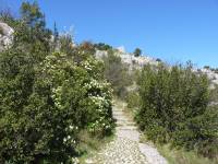 Cavaillon - Cavaillon - Patrimoines culturels - Provence Guide