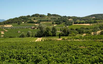 Village de Villedieu - Villedieu - Patrimoines culturels - Provence Guide