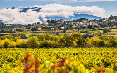 Village de Villedieu - Villedieu - Patrimoines culturels - Provence Guide
