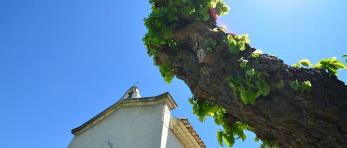 Villelaure - Villelaure - Patrimoines culturels - Provence Guide