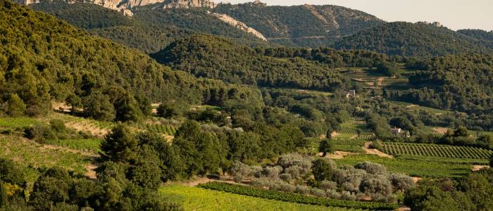 Village de Séguret - Séguret - Patrimoines culturels - Provence Guide