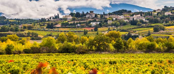 Village de Villedieu - Villedieu - Patrimoines culturels - Provence Guide