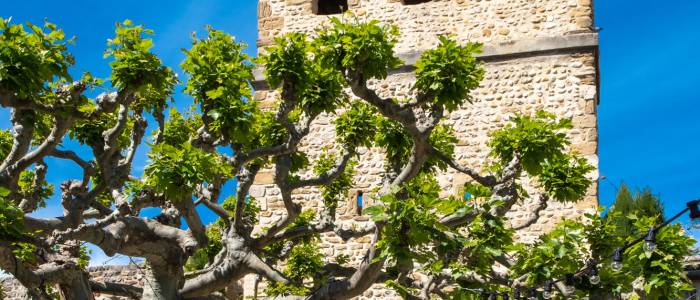 Village de Villedieu - Villedieu - Patrimoines culturels - Provence Guide