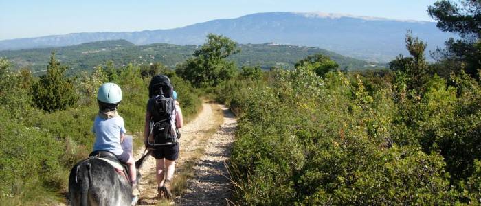 Venasqu' Ânes - Venasque - Athletic activities / cultural activities ...
