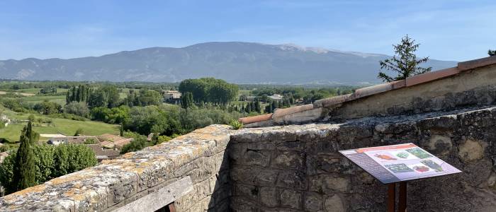 Le village de Mormoiron - Mormoiron - Patrimoines culturels - Provence ...