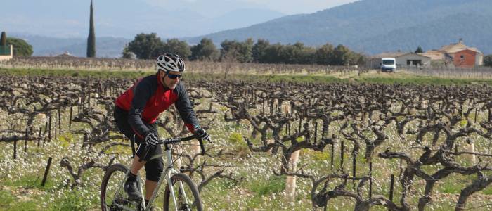 Gravel Antik - Vaison-la-Romaine - Loisirs sportifs - La Provence à Vélo